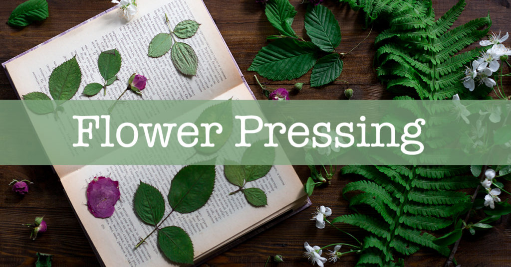 Pressing flowers - a quintessential Victorian pastime